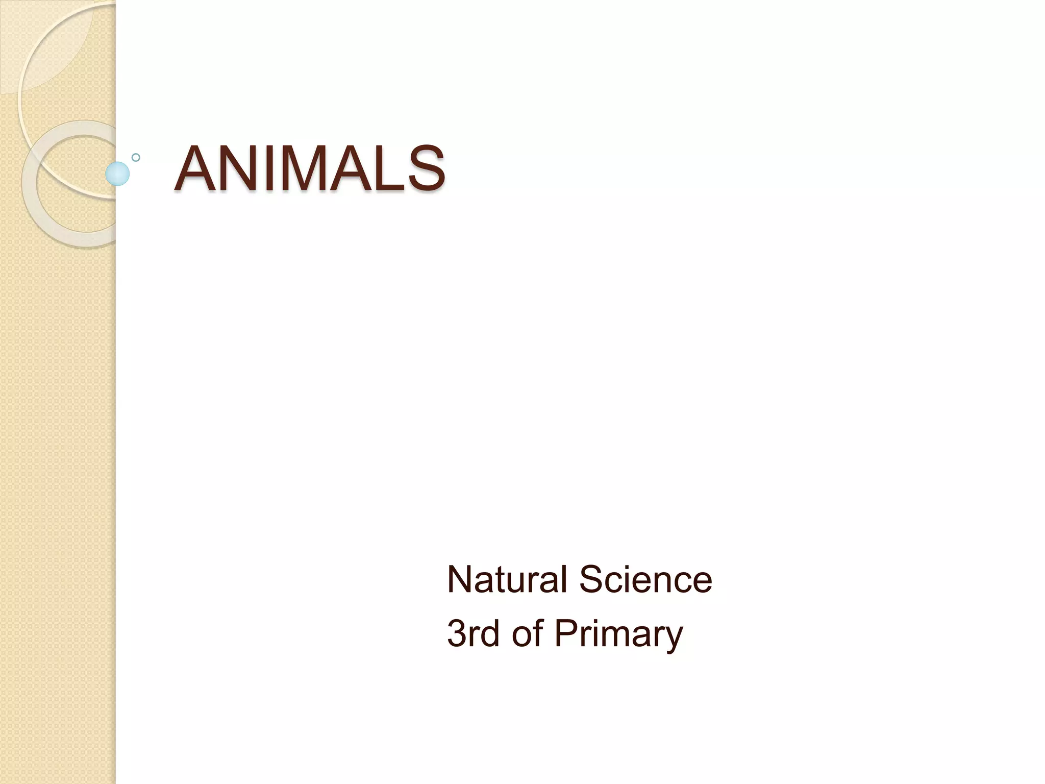 Animals | PPT