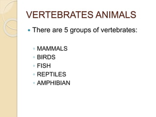 Animals | PPT