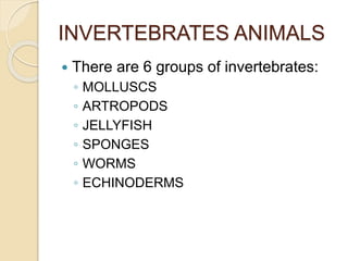 Animals | PPT