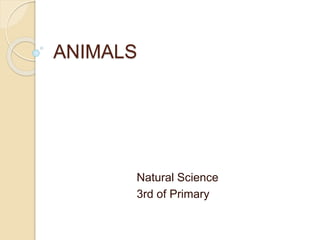 Animals | PPT