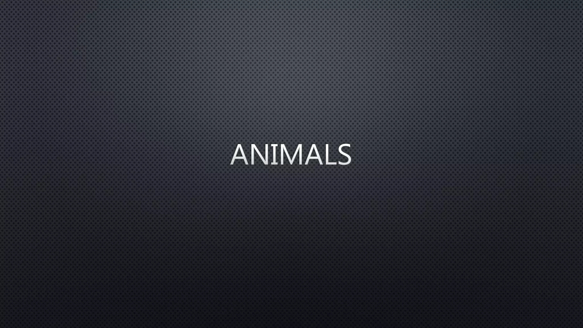 Animals | PPT