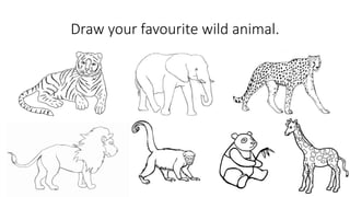 Wild and domestic animals. Habitats. | PPTX