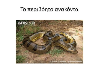 Animals | PPTX
