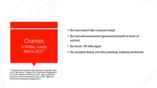 Talking Animals | PPT