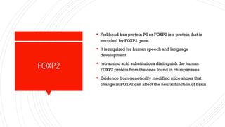 Talking Animals | PPT