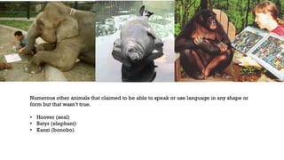 Talking Animals | PDF