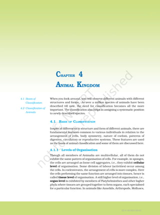 Animals | PDF