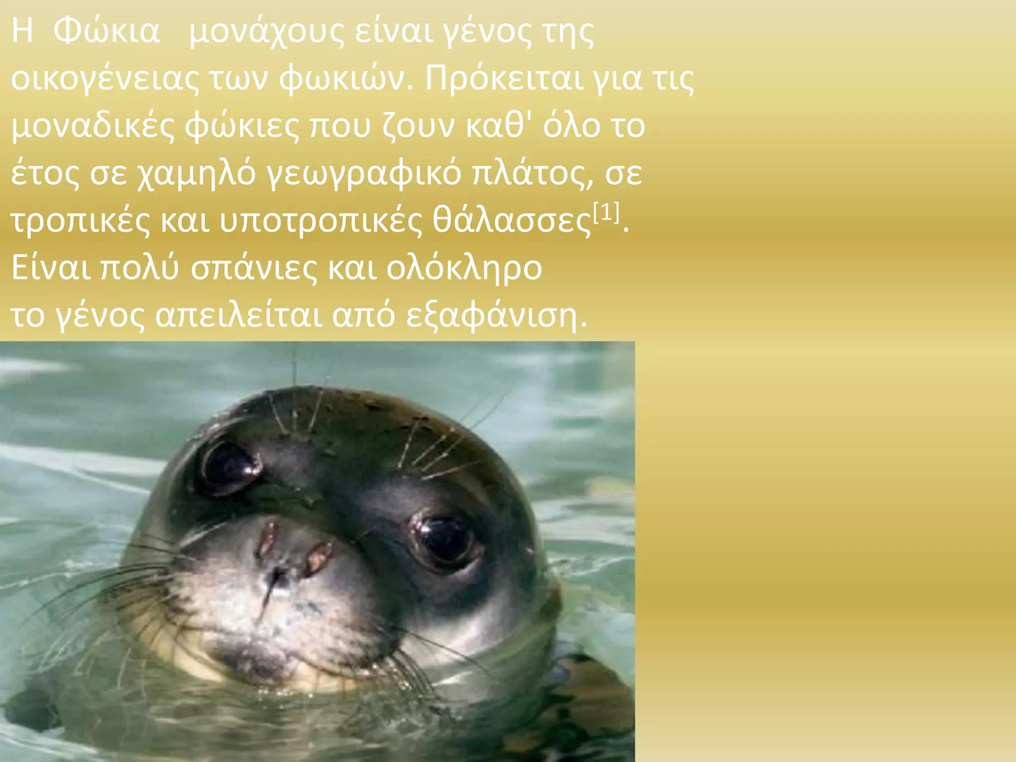Animals under extinction | PPT