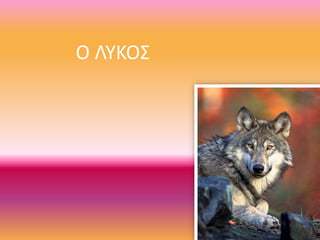 Animals under extinction | PPT