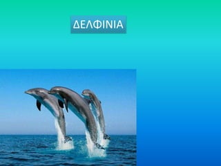 Animals under extinction | PPT