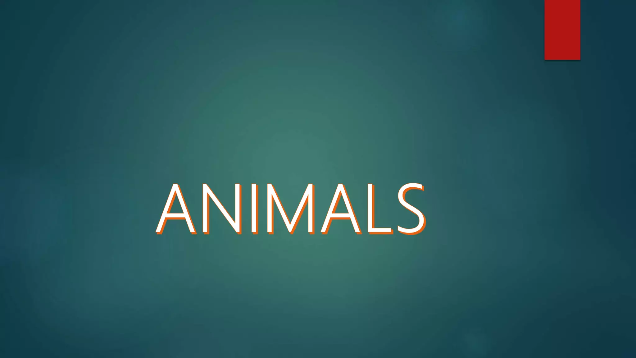 Animals | PPTX