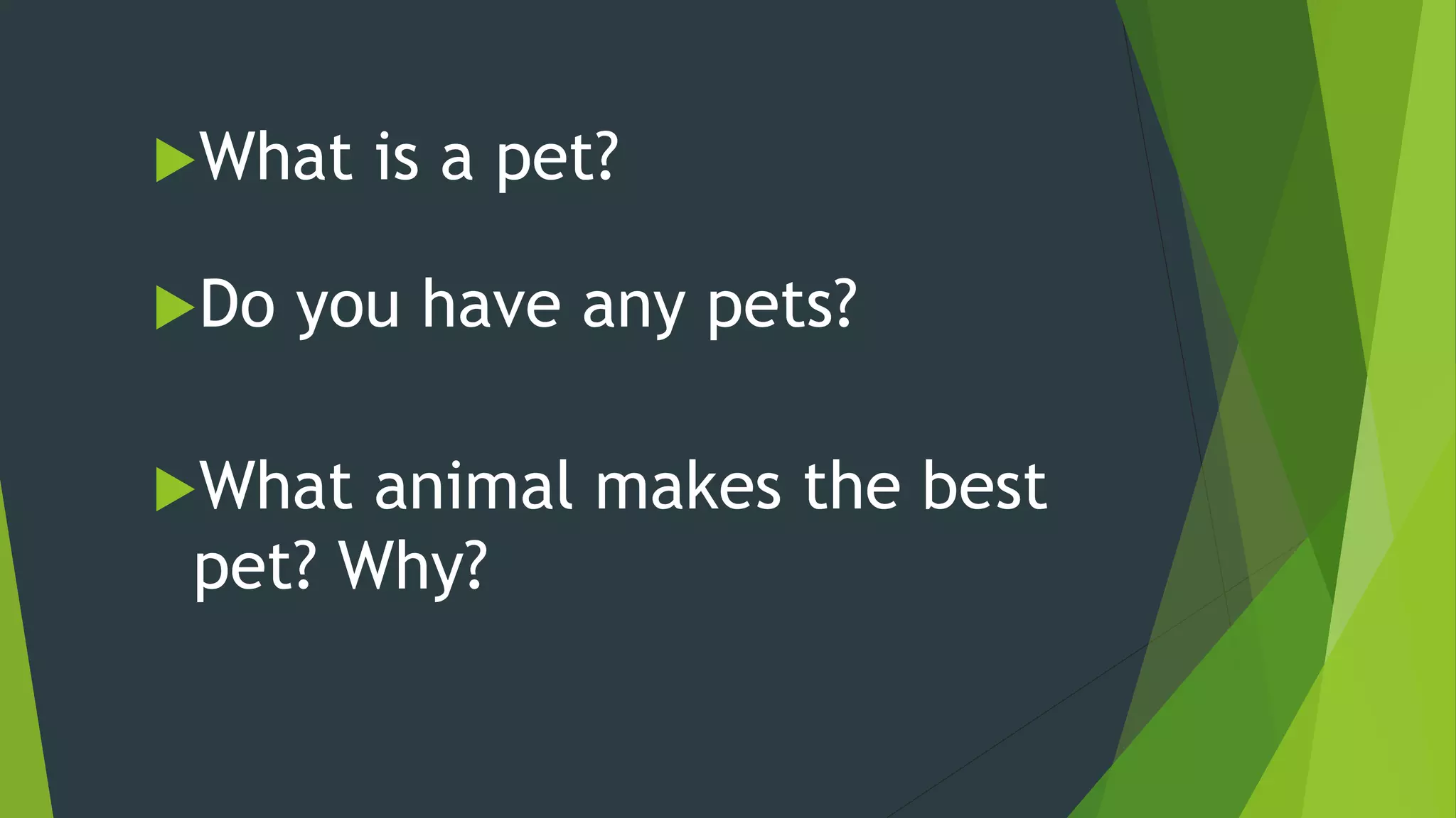 Animals and Pets | PPTX
