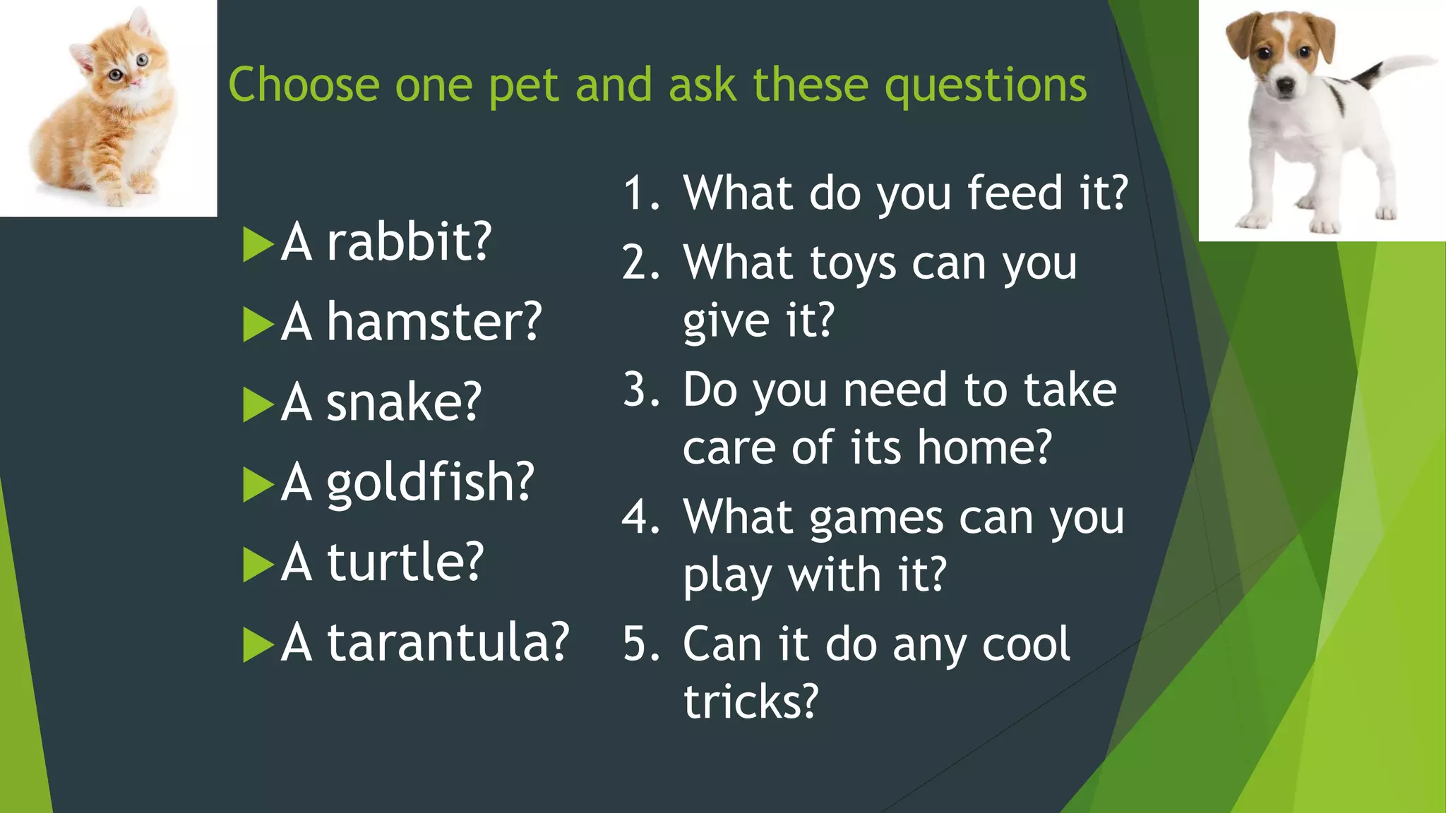 Animals and Pets | PPTX