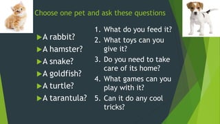 Animals and Pets | PPTX