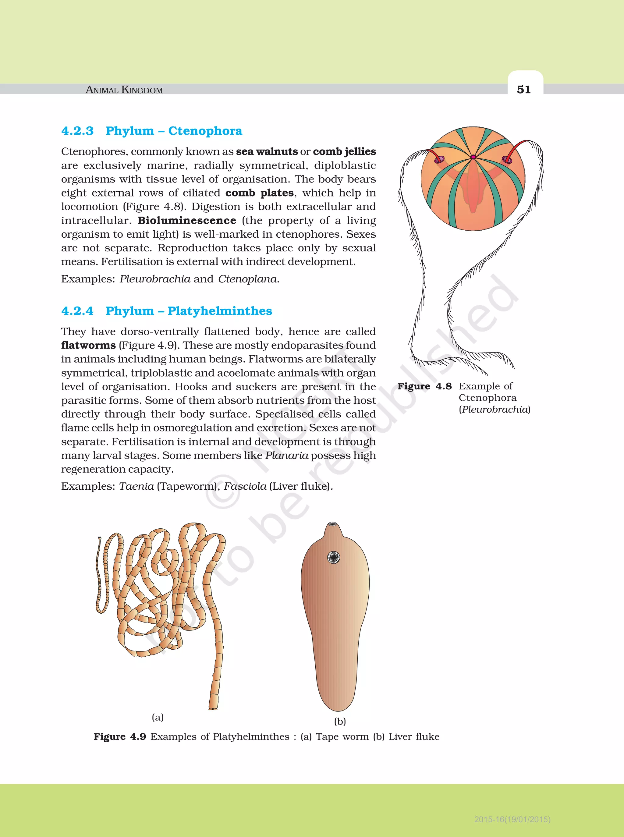 Animals | PDF