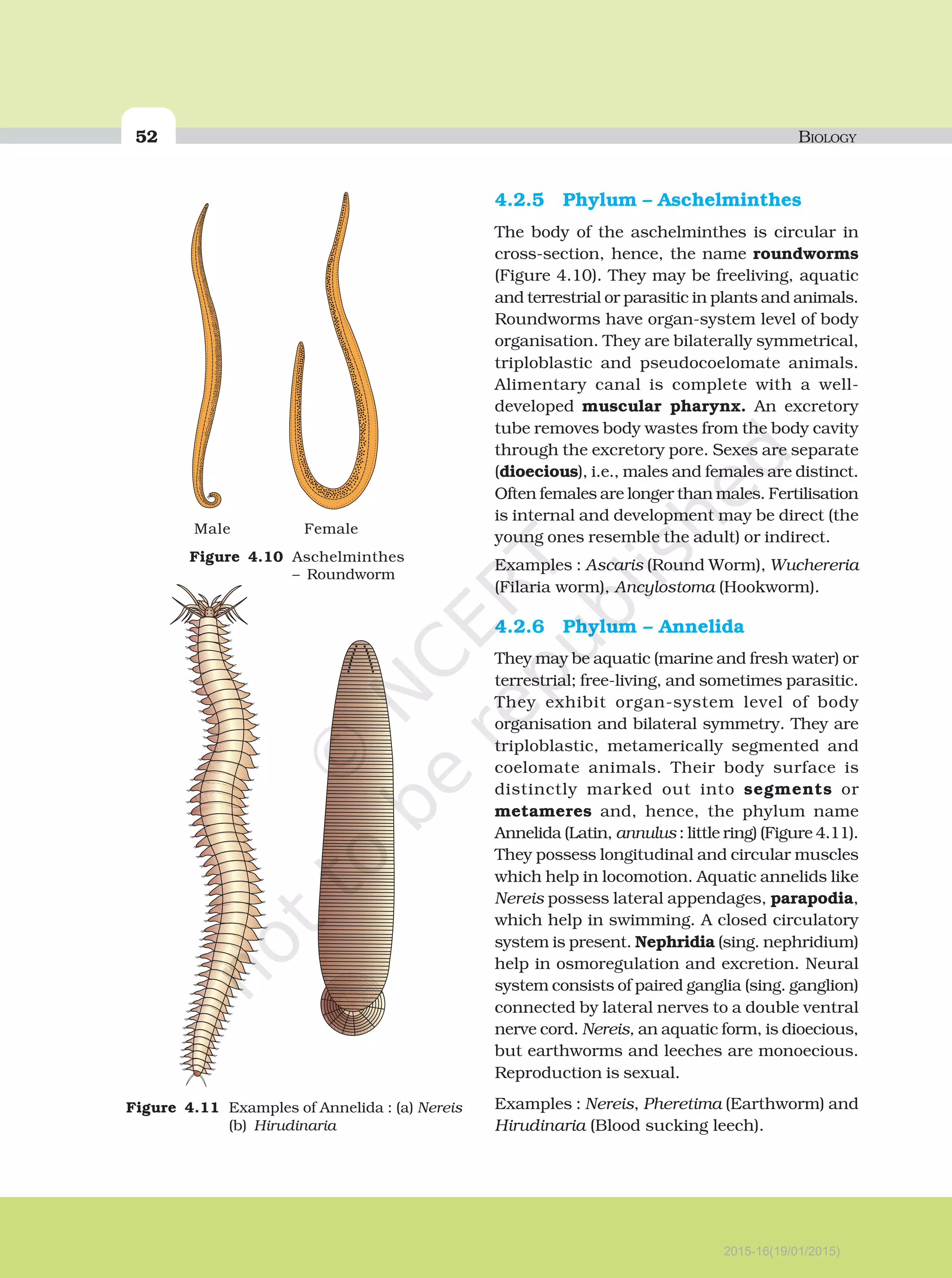 Animals | PDF