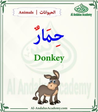 Animals in Arabic | PDF