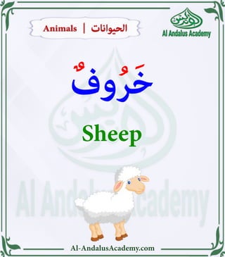 Animals in Arabic | PDF
