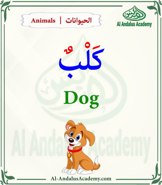 Animals in Arabic | PDF