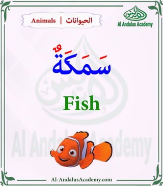 Animals in Arabic | PDF