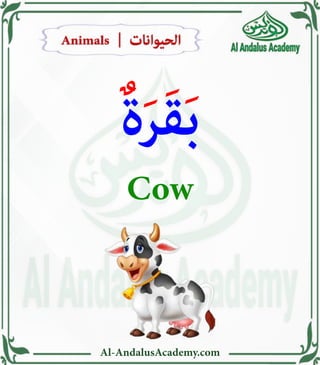 Animals in Arabic | PDF