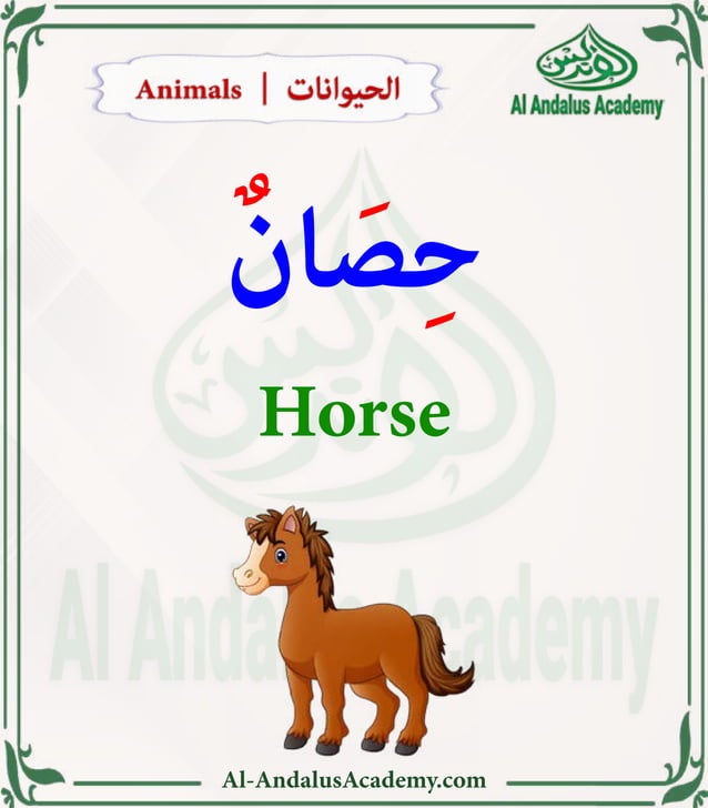 Animals in Arabic | PDF