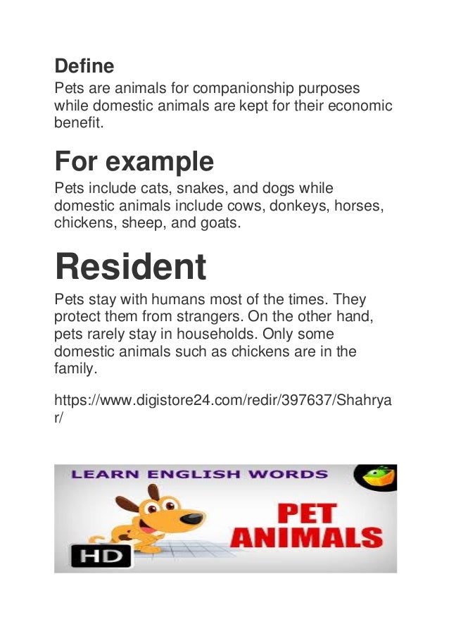 Animals and Pets | PDF