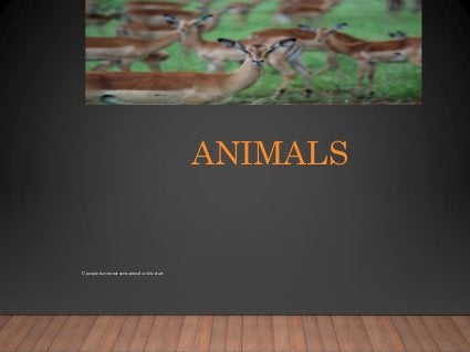 Animals.pptx