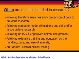Animals.pptx