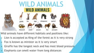 ANIMALS.pptx