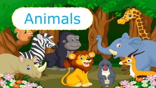 ANIMALS.pptx