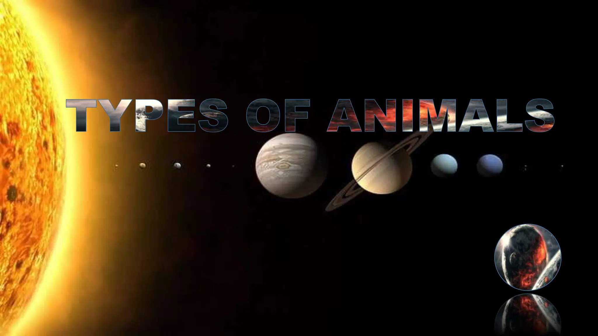 ANIMALS for grade 1 students in elementary | PPT