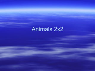 Animals 2x2 | PPT