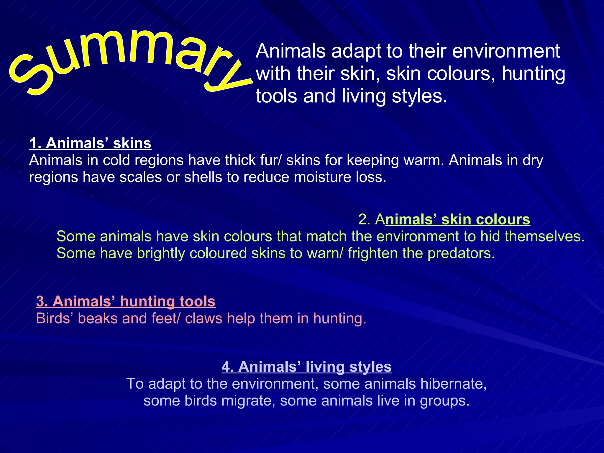 Animals And Environment | PPT