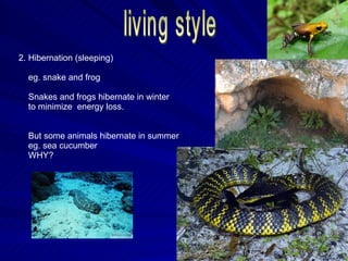Animals And Environment | PPT