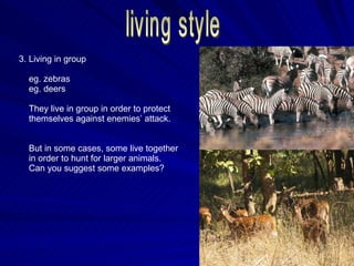 Animals And Environment | PPT