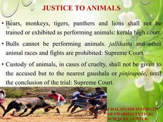 Animals and-the-law | PPTX
