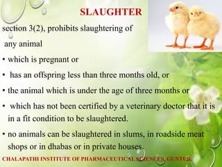 Animals and-the-law | PPTX