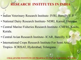 Animals and-the-law | PPTX