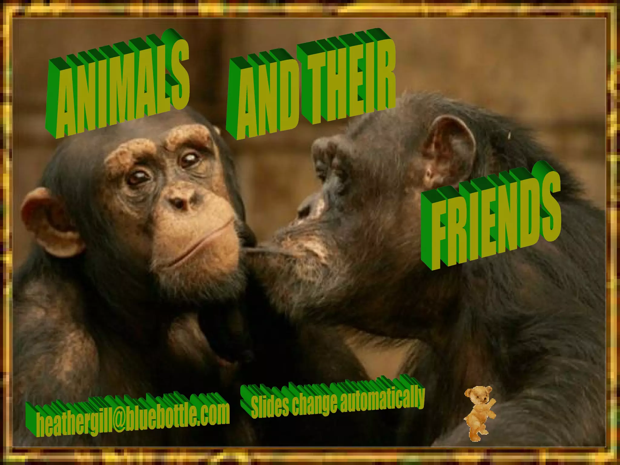 Animals And Their Friends | PPS | Food & Drink