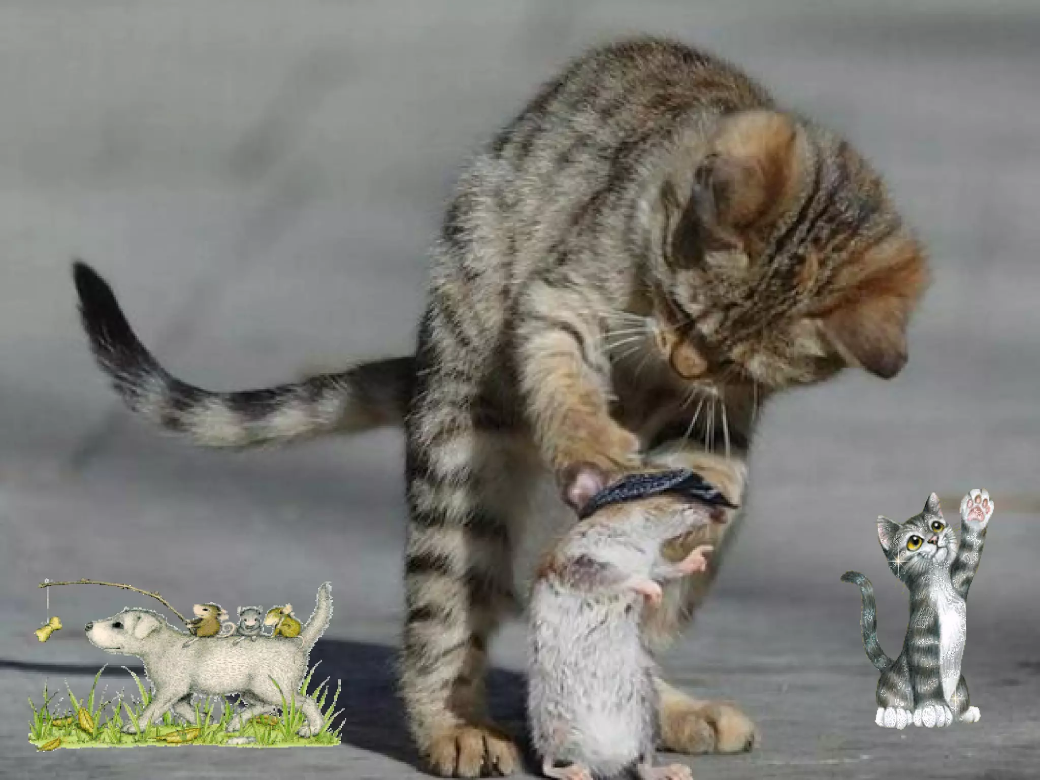 Animals And Their Friends | PPS | Food & Drink