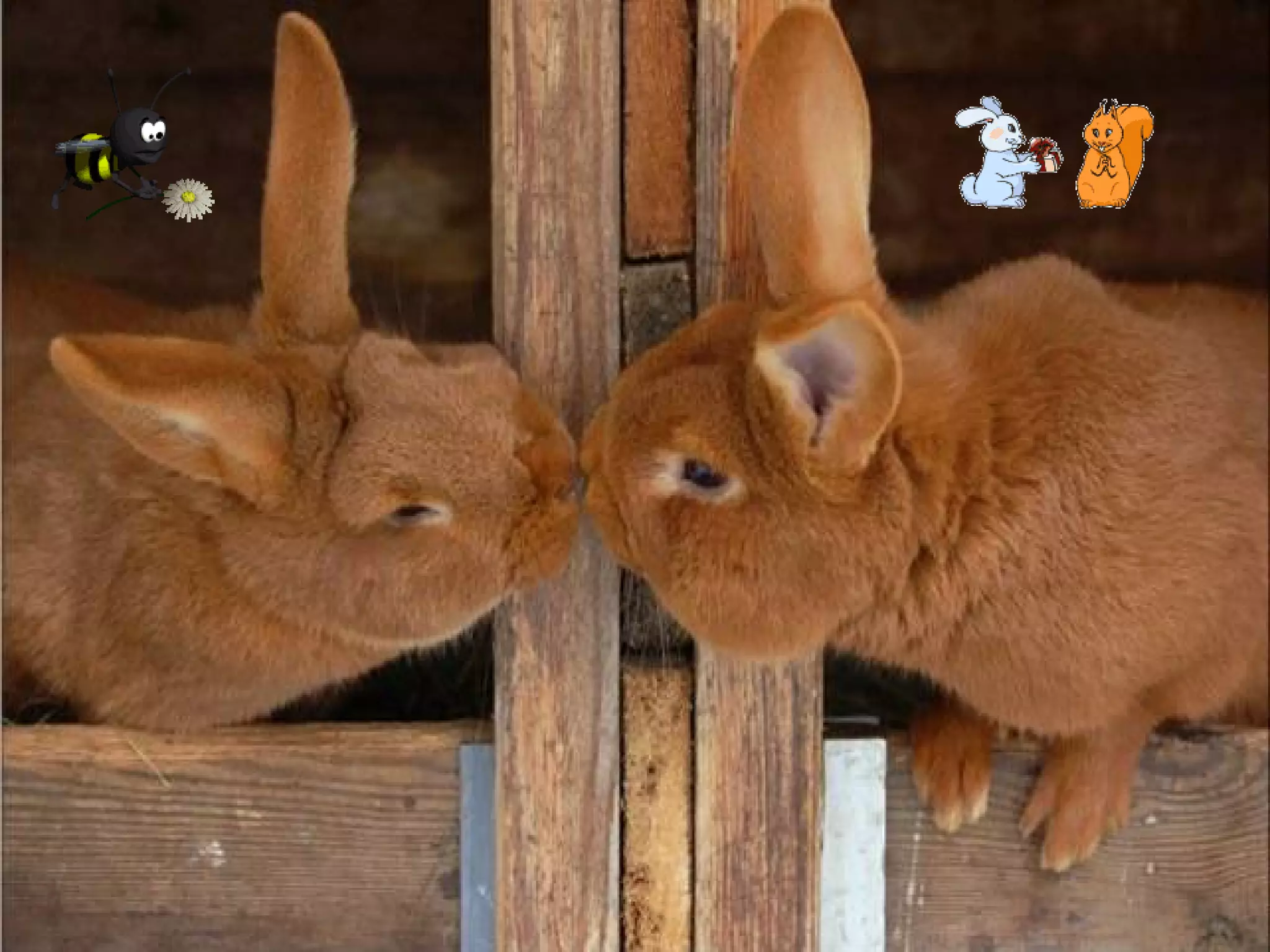 Animals And Their Friends | PPS | Food & Drink