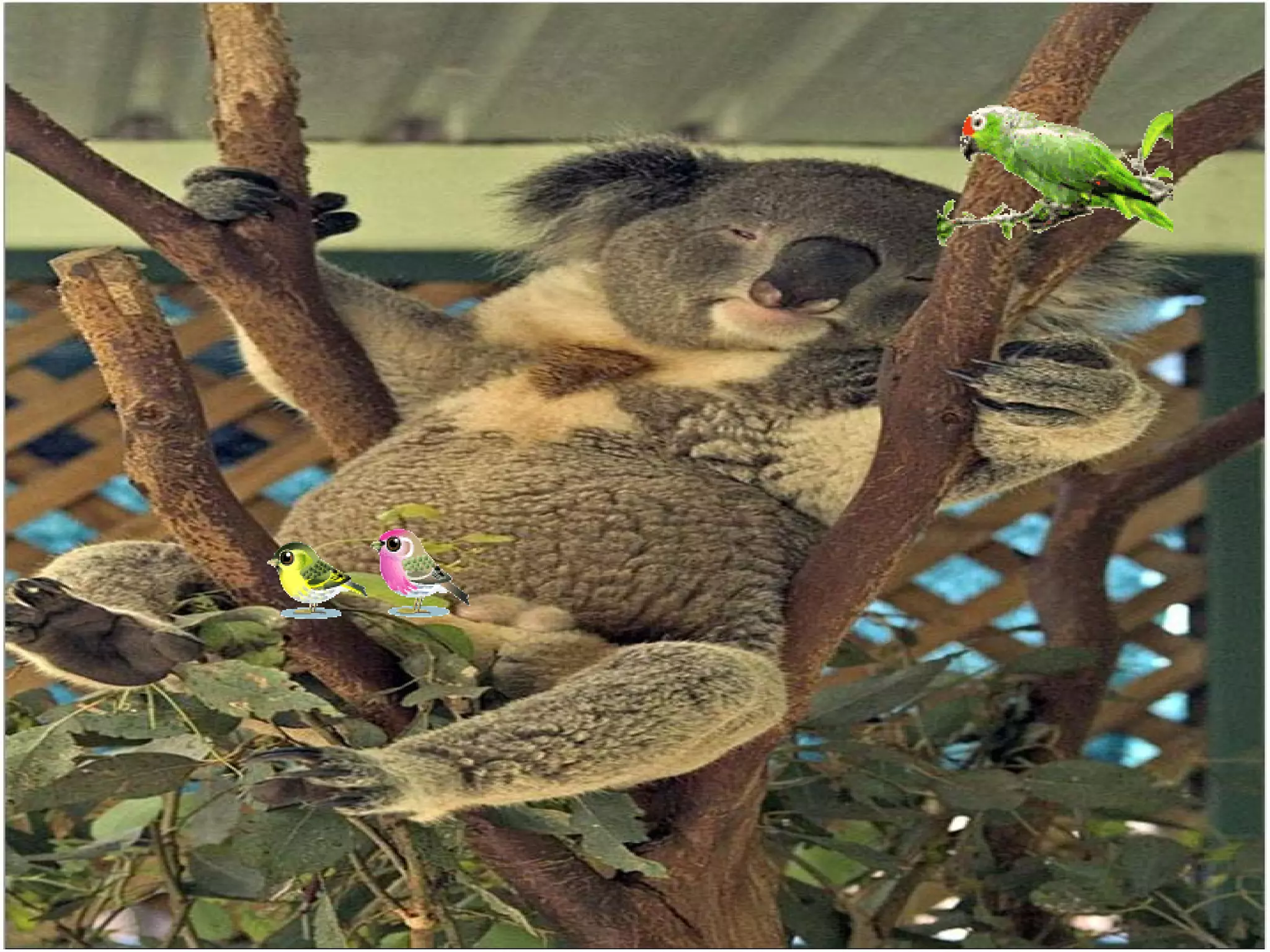 Animals And Their Friends | PPS | Food & Drink