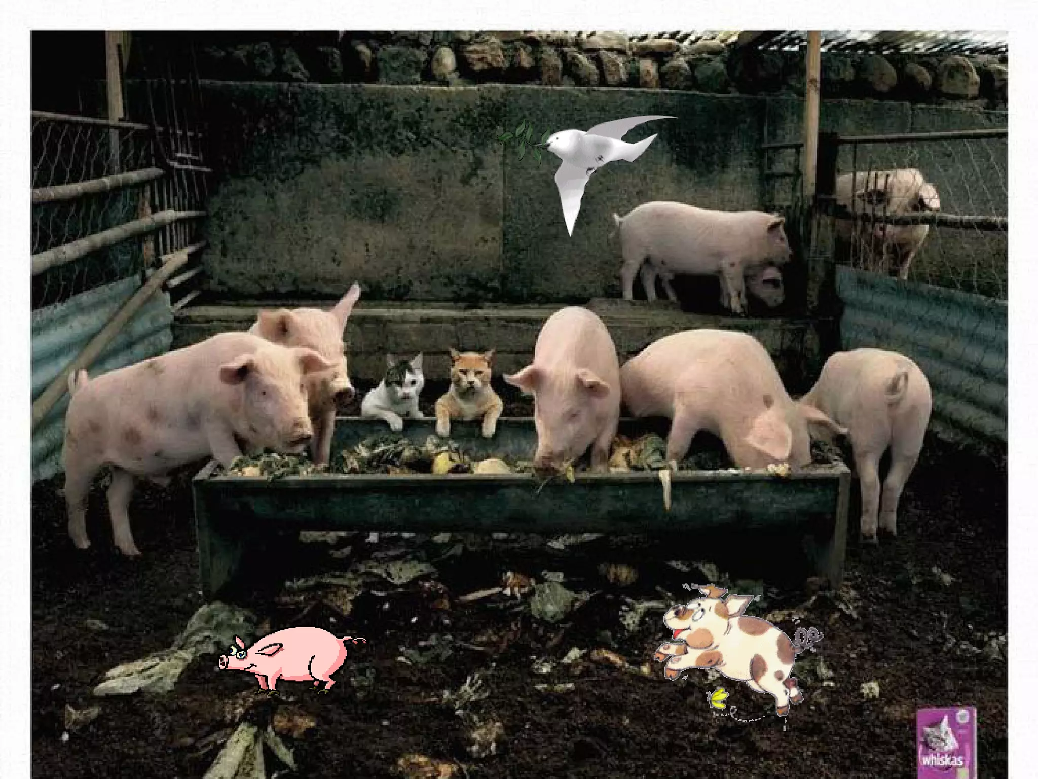 Animals And Their Friends | PPS | Food & Drink