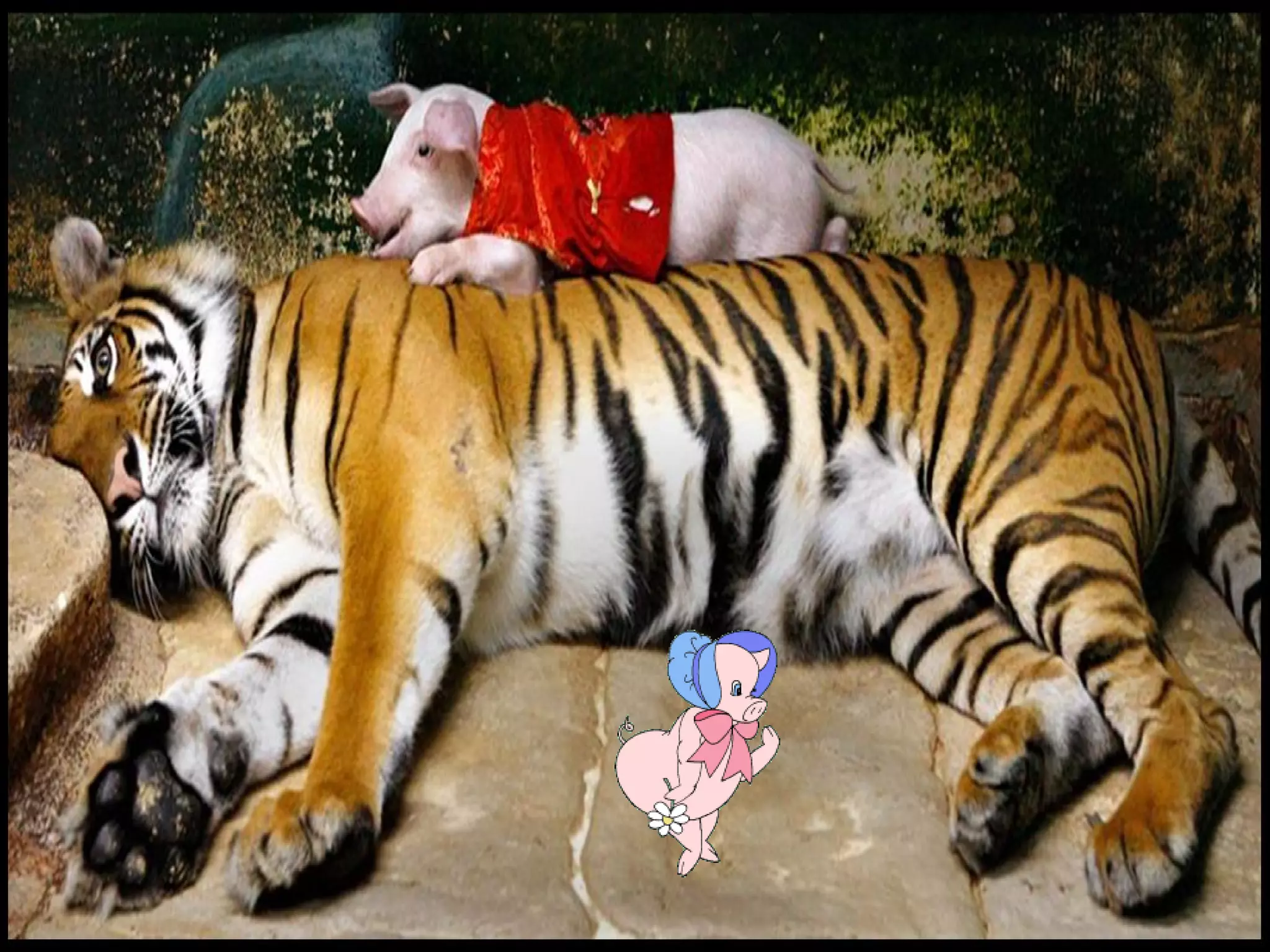 Animals And Their Friends | PPS | Food & Drink