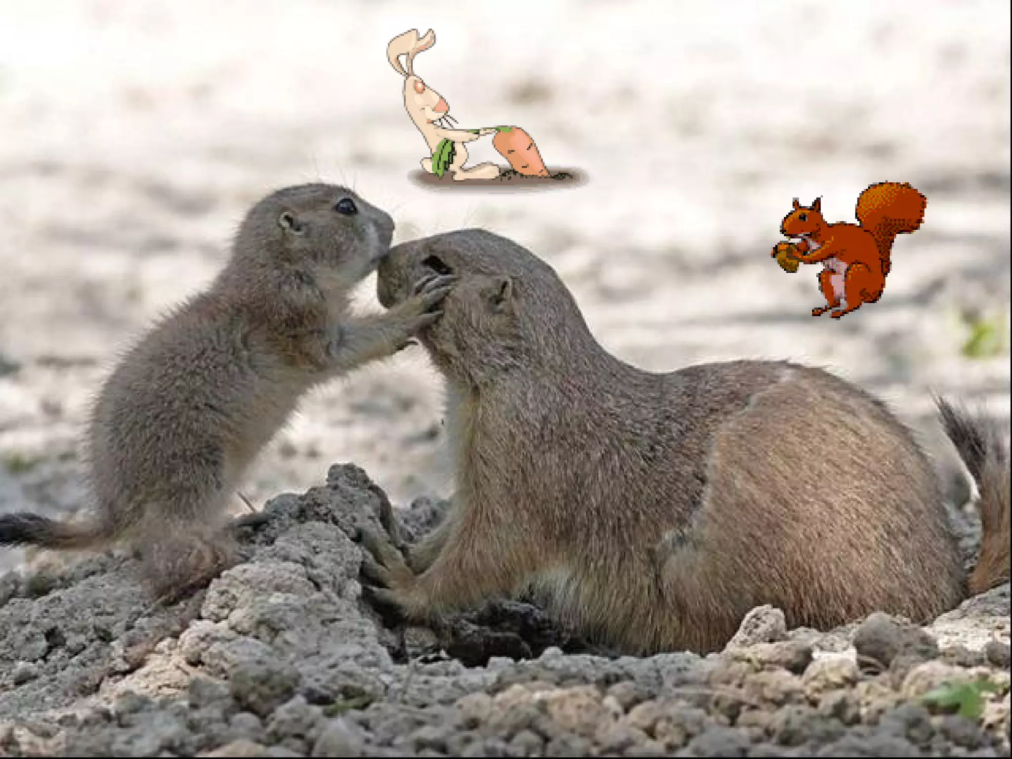 Animals And Their Friends | PPS | Food & Drink