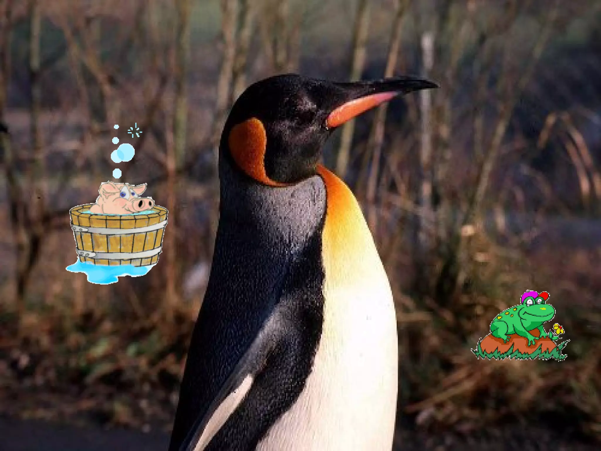 Animals And Their Friends | PPS | Food & Drink