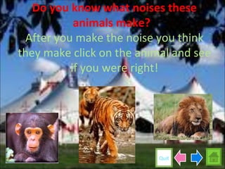 Animals And Their Sounds | PPT