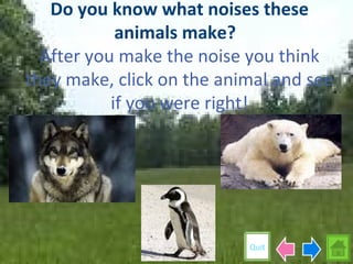 Animals And Their Sounds | PPT