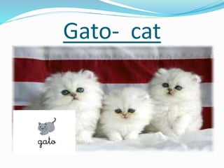 Animals animales English - Spanish | PPTX